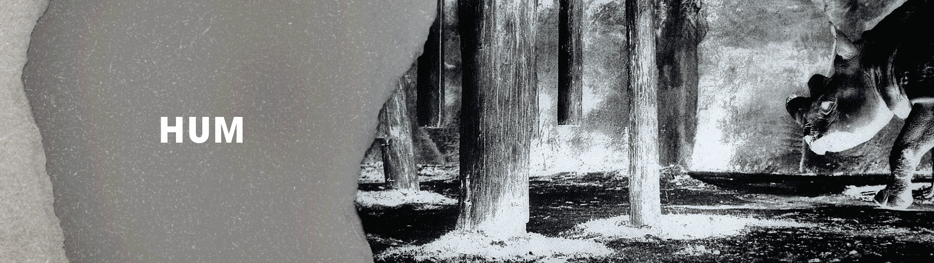 Hum - Merch & Vinyl - Polyvinyl Records