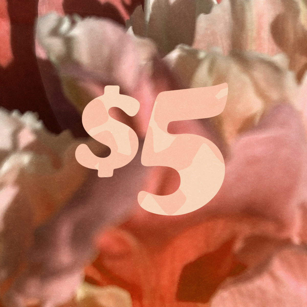 Merge Records - Artists, News, Music - Shop Vinyl, Merch, Music and More