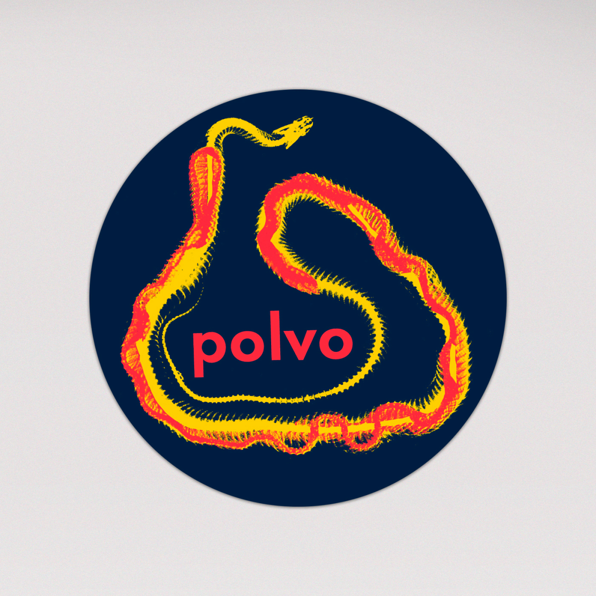 Polvo Bumper Sticker - Merge Records - Shop Vinyl, Merch, Music and More