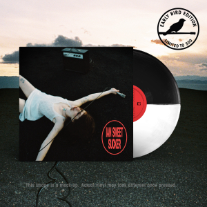 Polyvinyl Records - Artists, News, Merch - Shop Vinyl, Merch, Music and ...