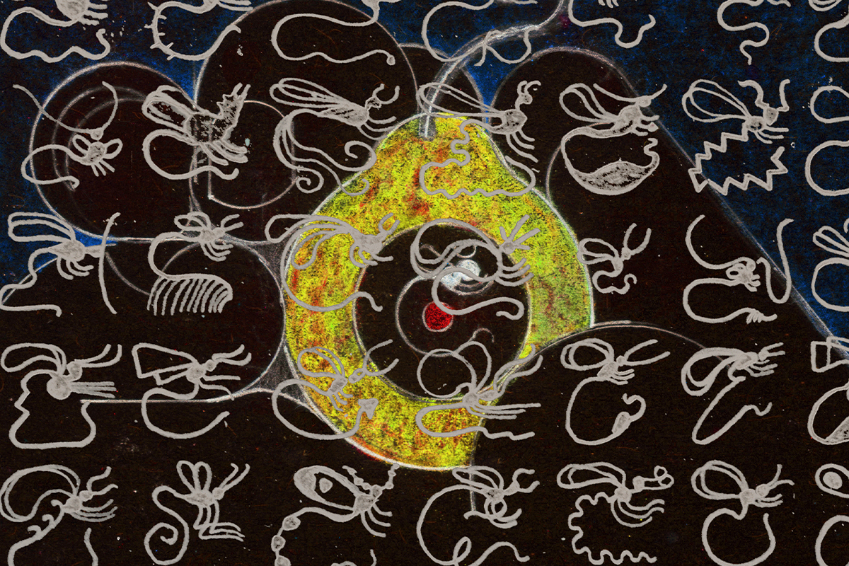 Lunar Vacation's 'Fig Demos' Out Now | Keeled Scales