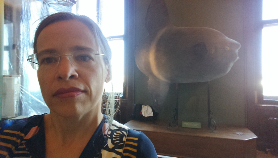 2015 Year End Lists: Laura Ballance | Merge Records